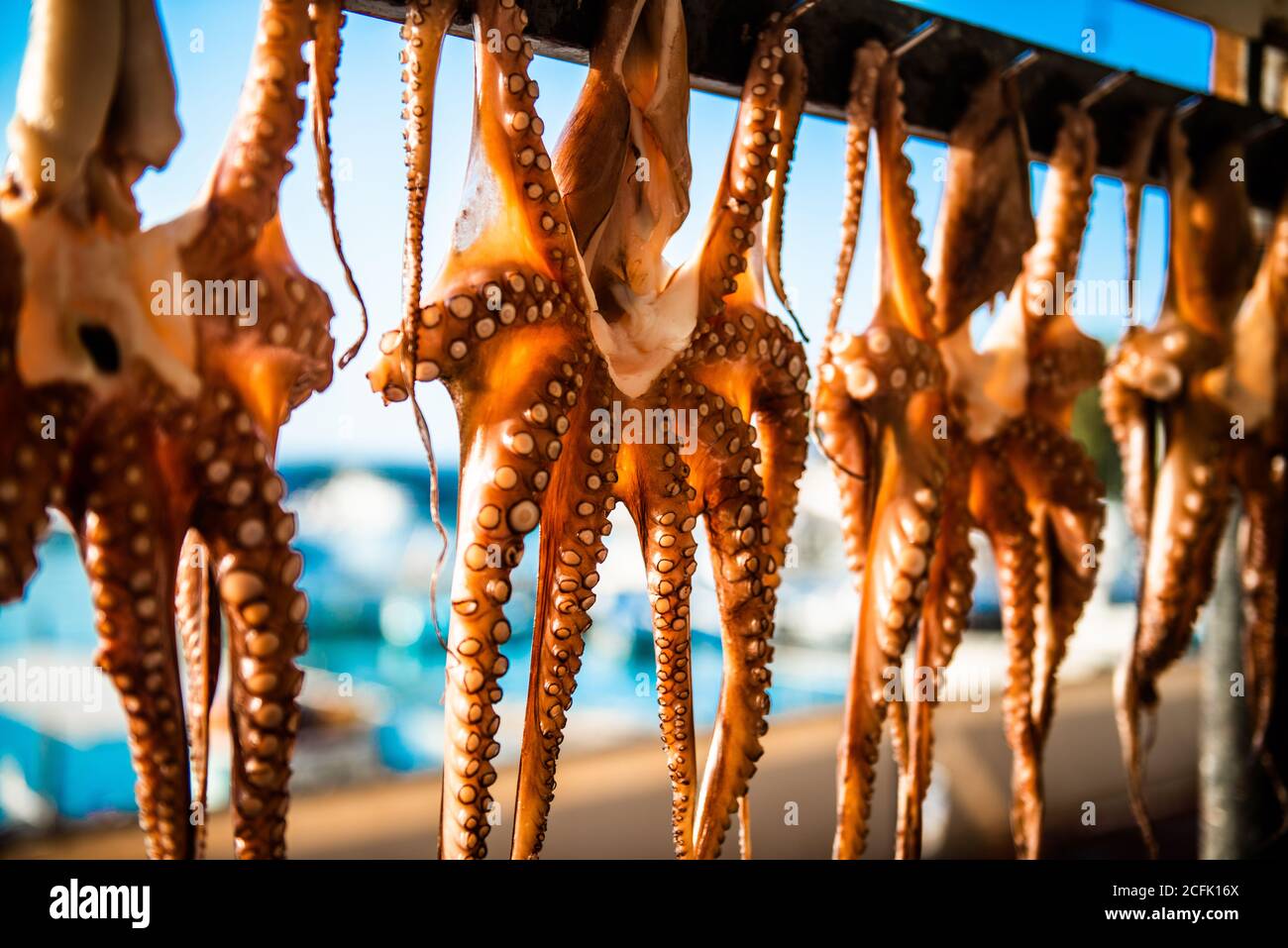 Dried octopus hi-res stock photography and images - Alamy