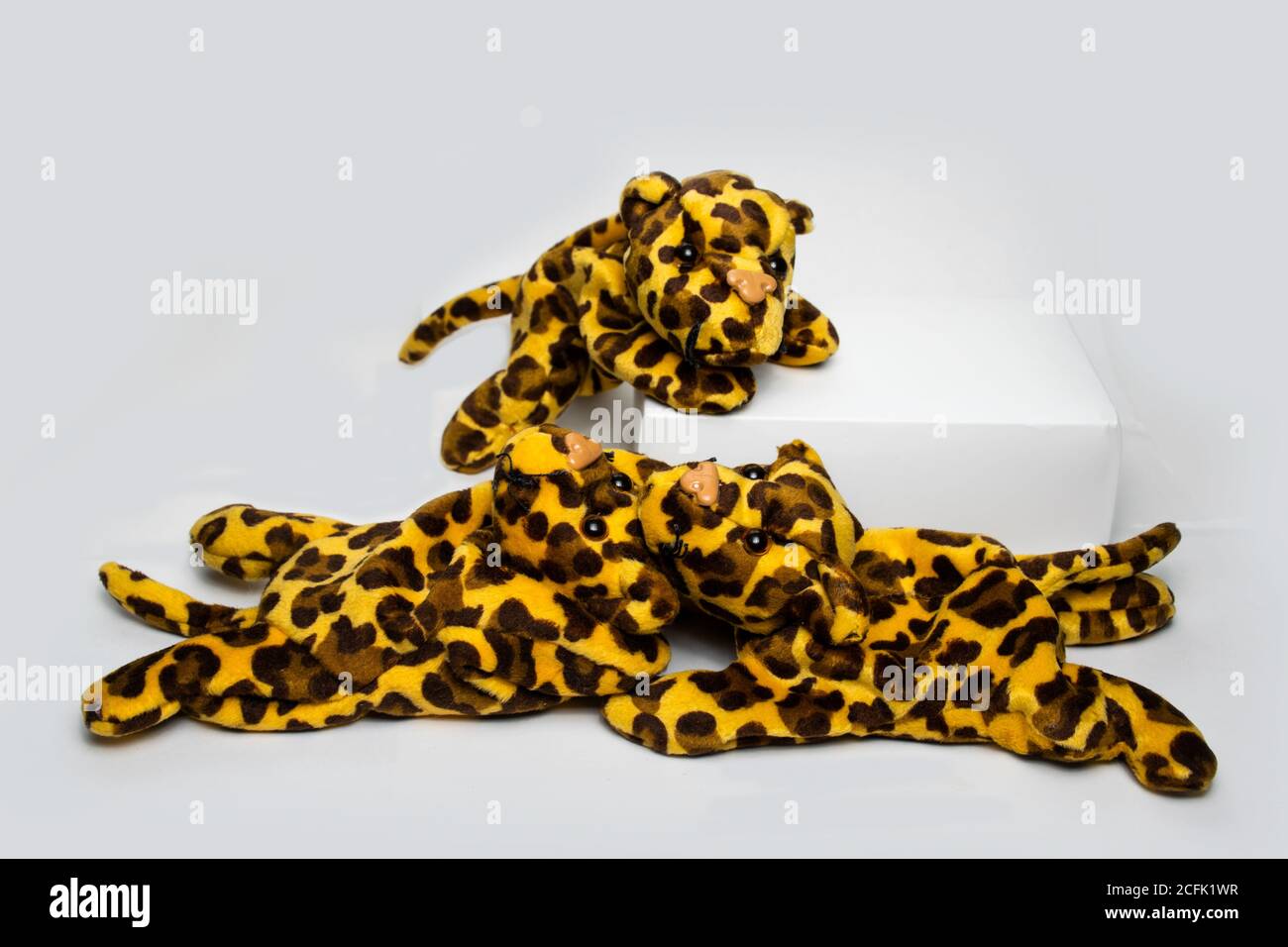 Three playing adorable looking stuffed leopard soft toys isolated on a ...