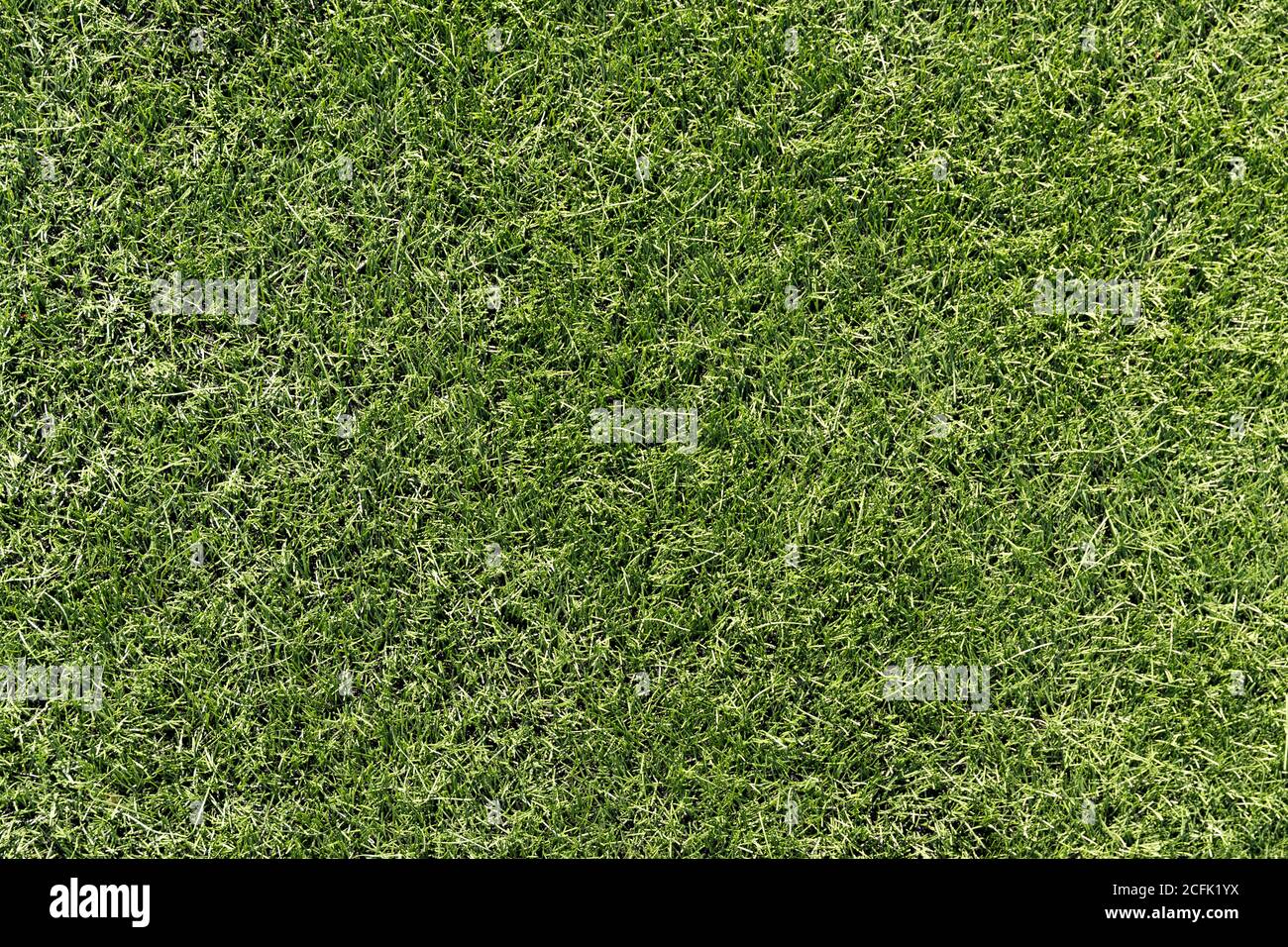 bright green grass. background for design Stock Photo - Alamy