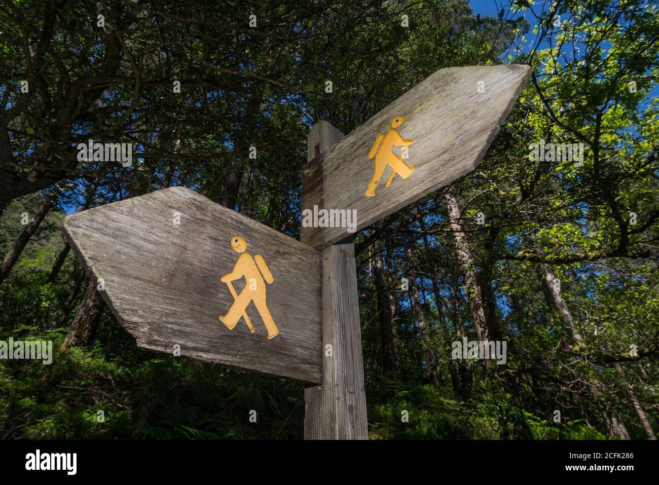 walking trail direction sign arrows in the forest Stock Photo - Alamy
