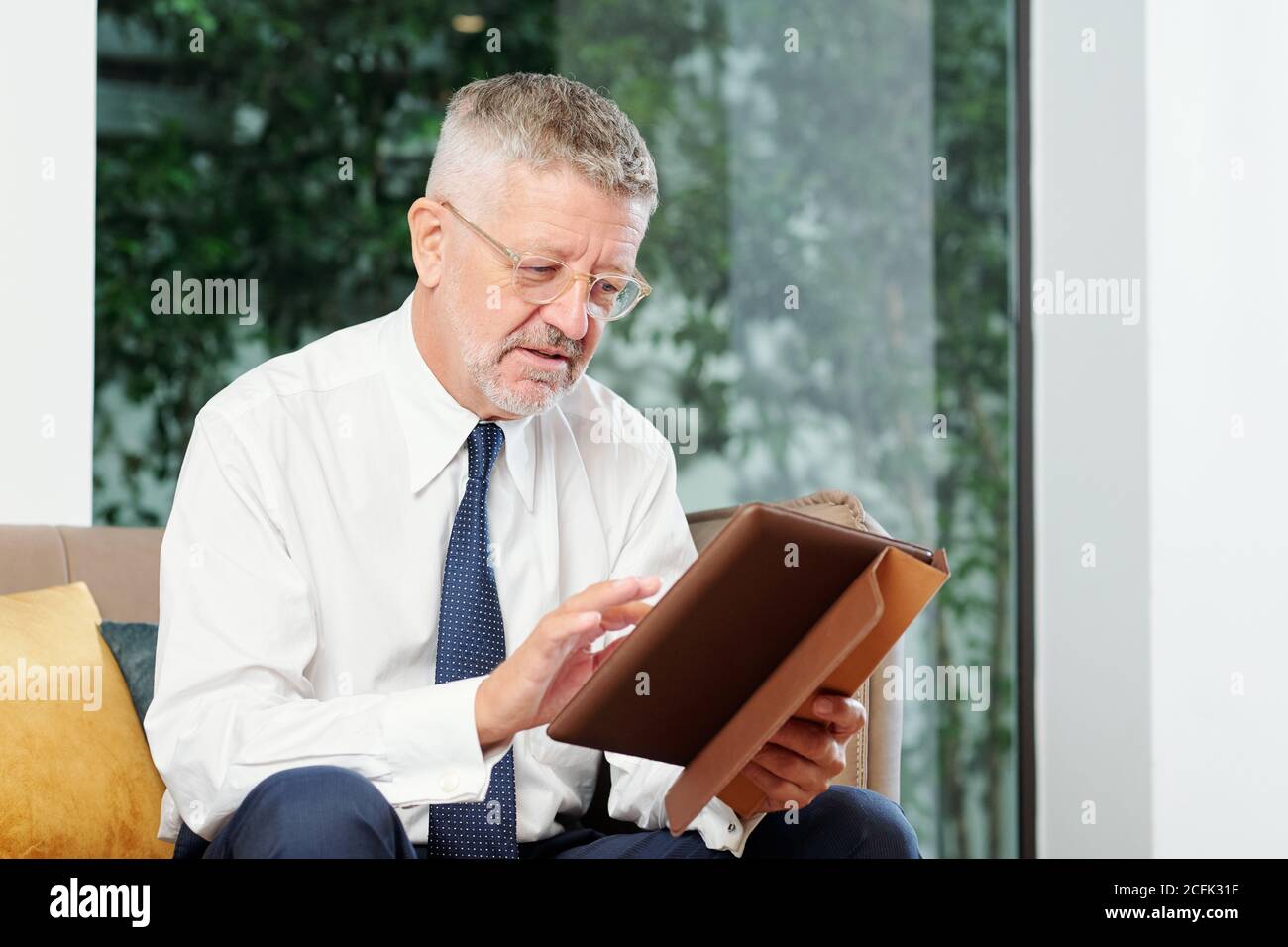 Business executive reading article Stock Photo - Alamy