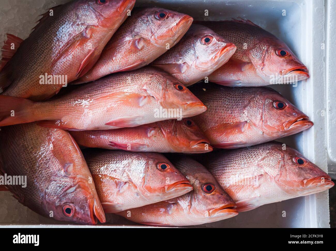 Taiwan food appetizer hi-res stock photography and images - Alamy