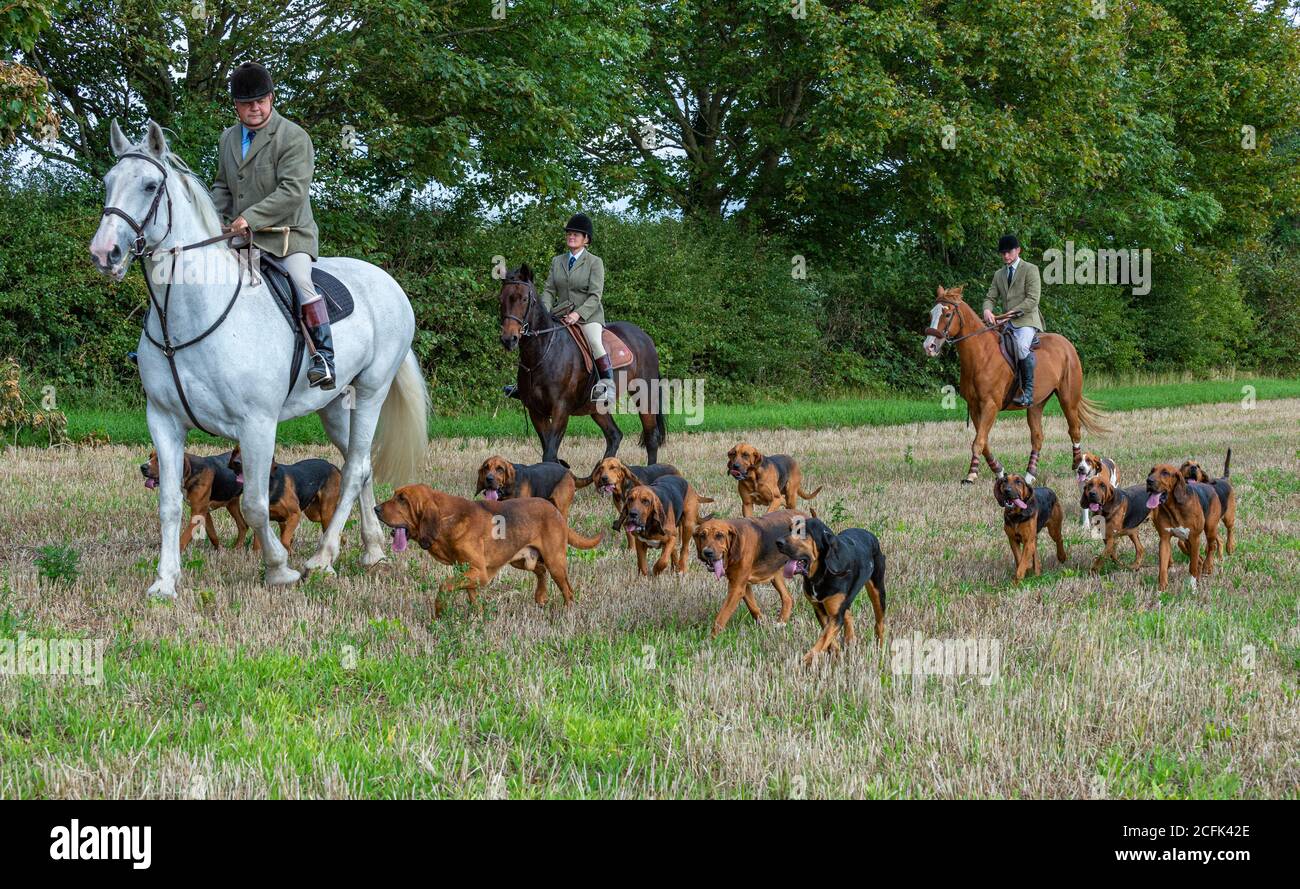Temple Bruer, Lincolnshire, UK. 6th September 2020. Autumn arrives as ...
