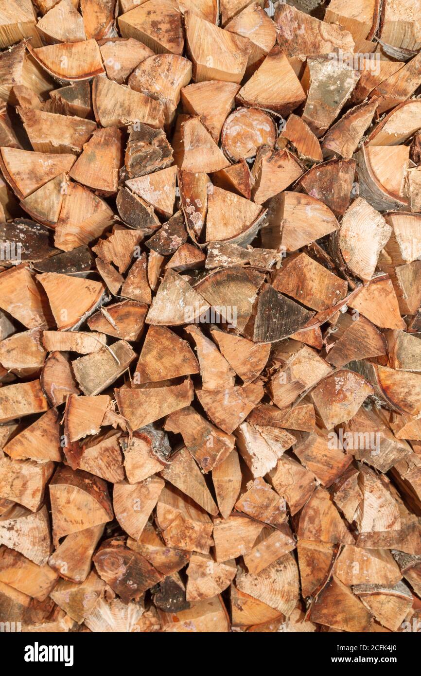 Pinned birch wood are in a pile in drevenice Stock Photo - Alamy
