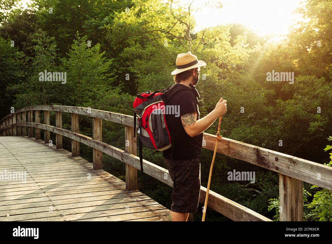Side view of unrecognizable male wanderer with backpack and wooden ...