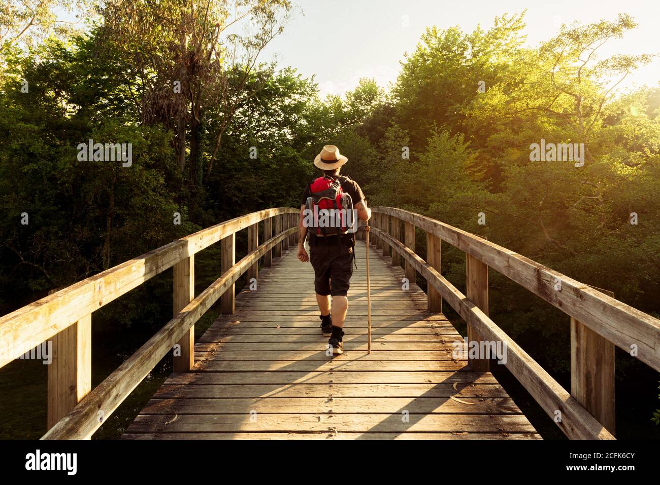 Back view of unrecognizable male wanderer with backpack and wooden ...