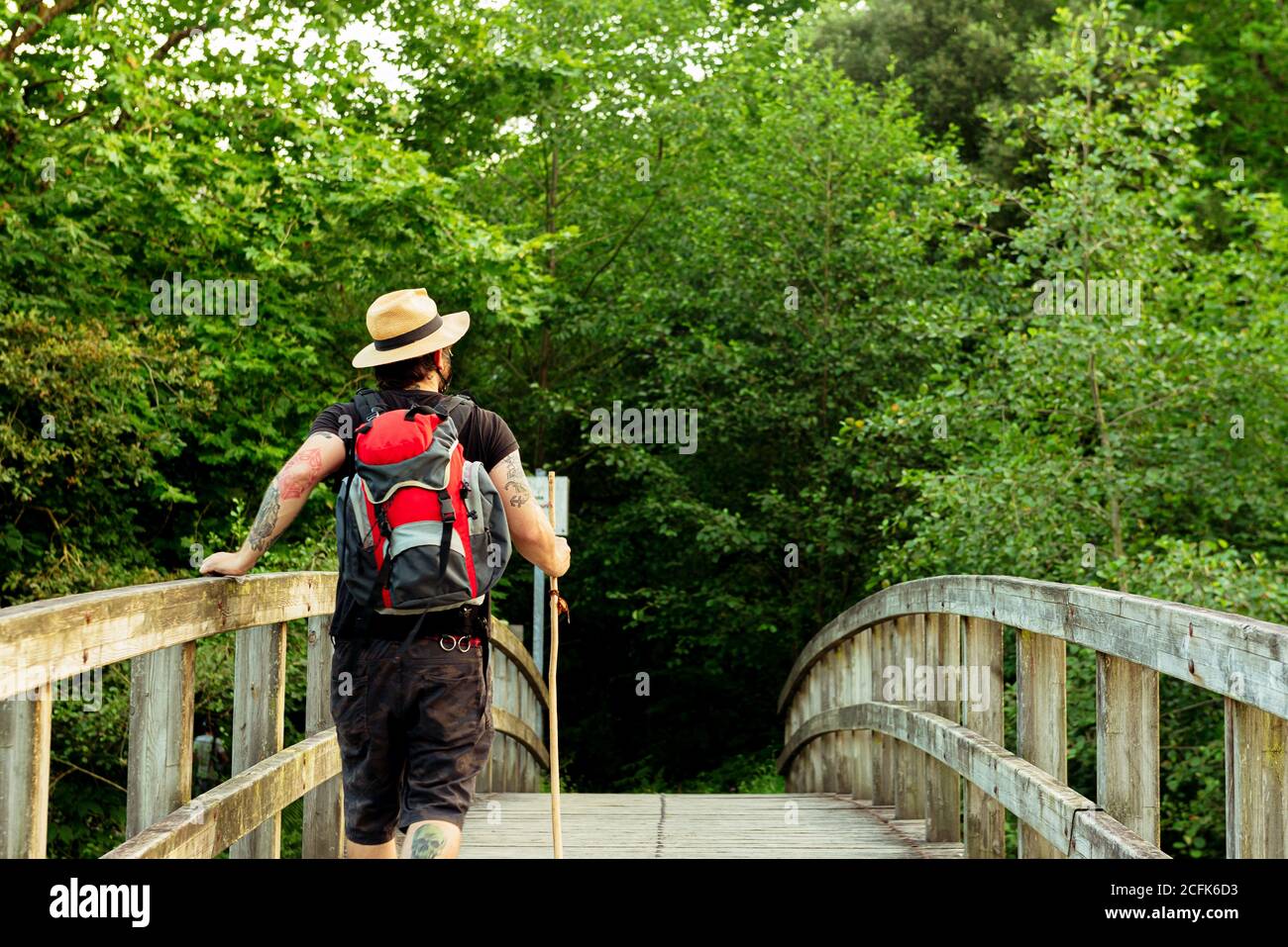 Back view of unrecognizable male wanderer with backpack and wooden ...