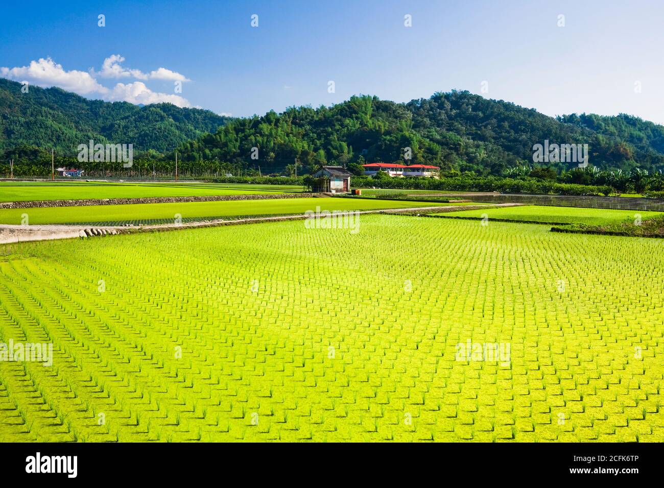 Kaohsiung farm hi-res stock photography and images - Alamy