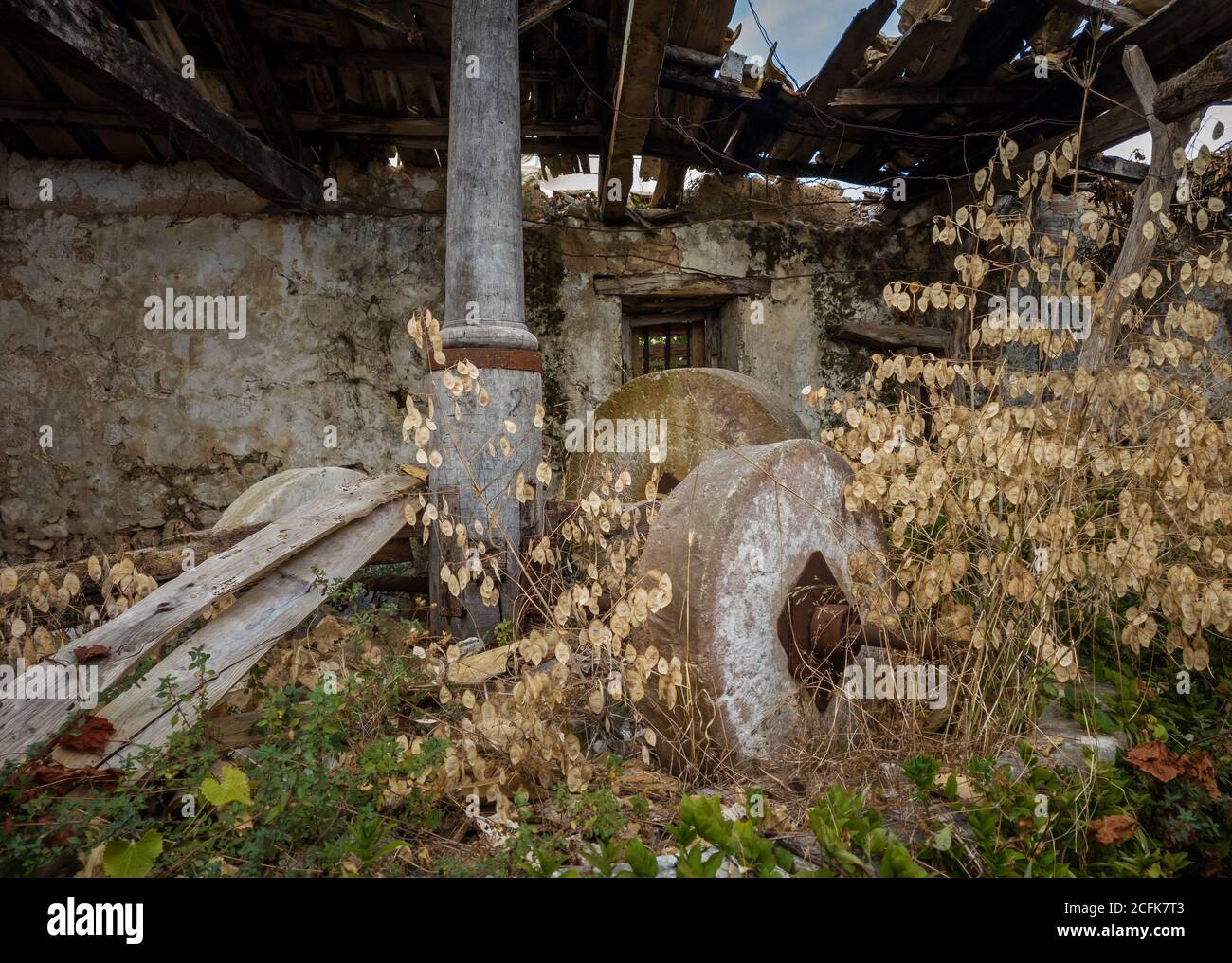 Olive oil factory hi-res stock photography and images - Alamy
