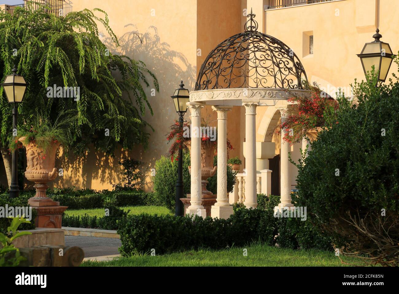 Plant arbor hi-res stock photography and images - Alamy