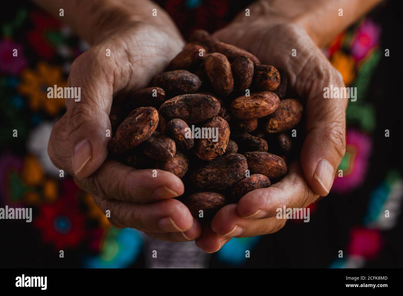Indigenous chocolate hi-res stock photography and images - Alamy