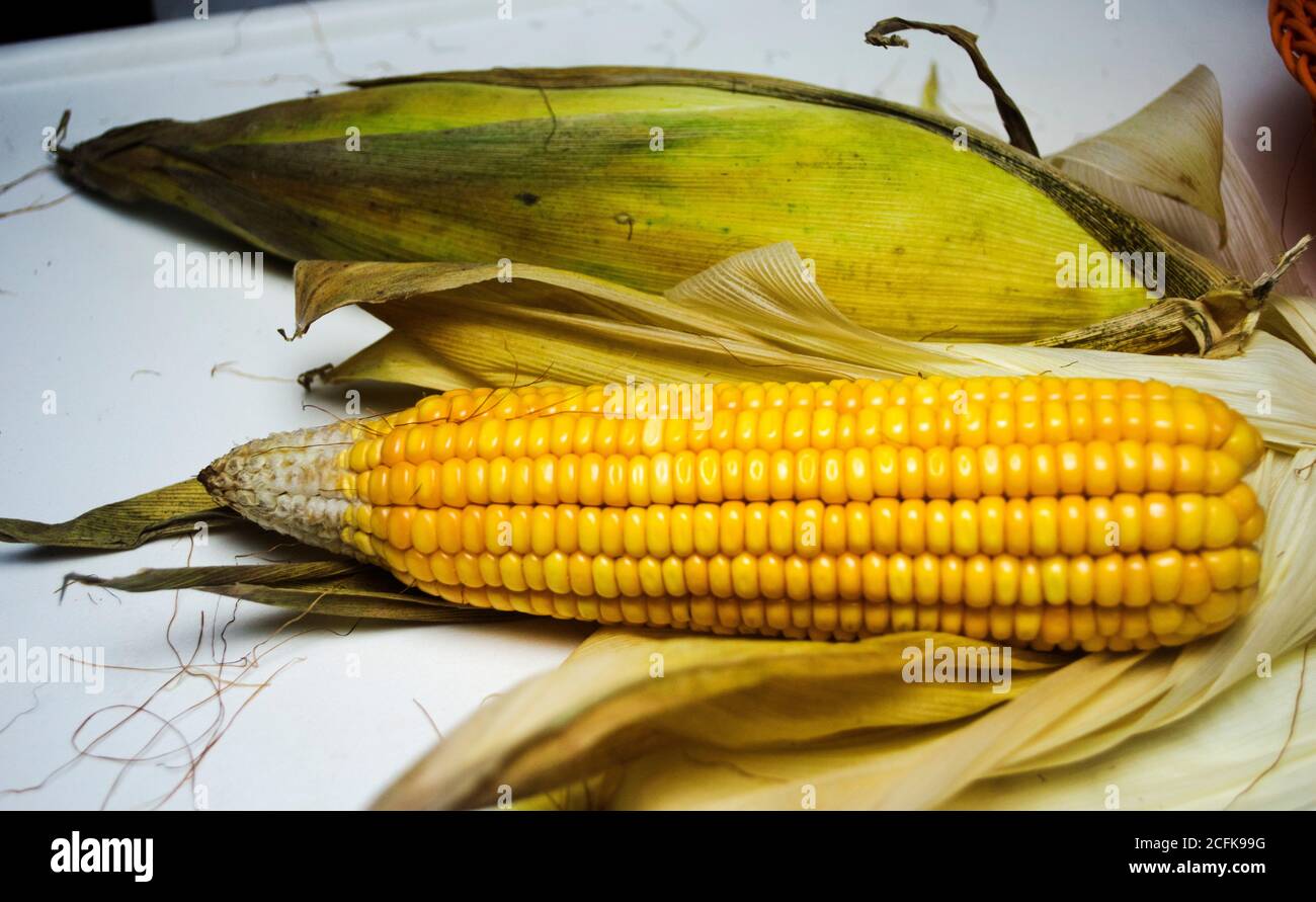 Raw sweet corn on blurred background with dried leaves Stock Photo - Alamy
