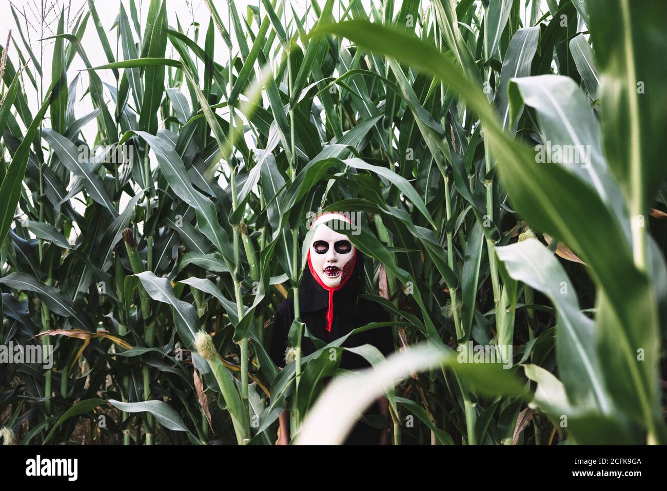 unrecognizable person wearing masquerade mask and costume standing in ...