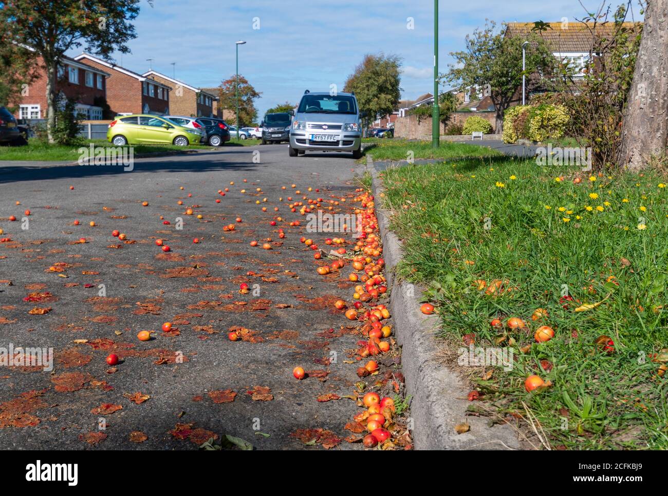 Squashed hi-res stock photography and images - Alamy