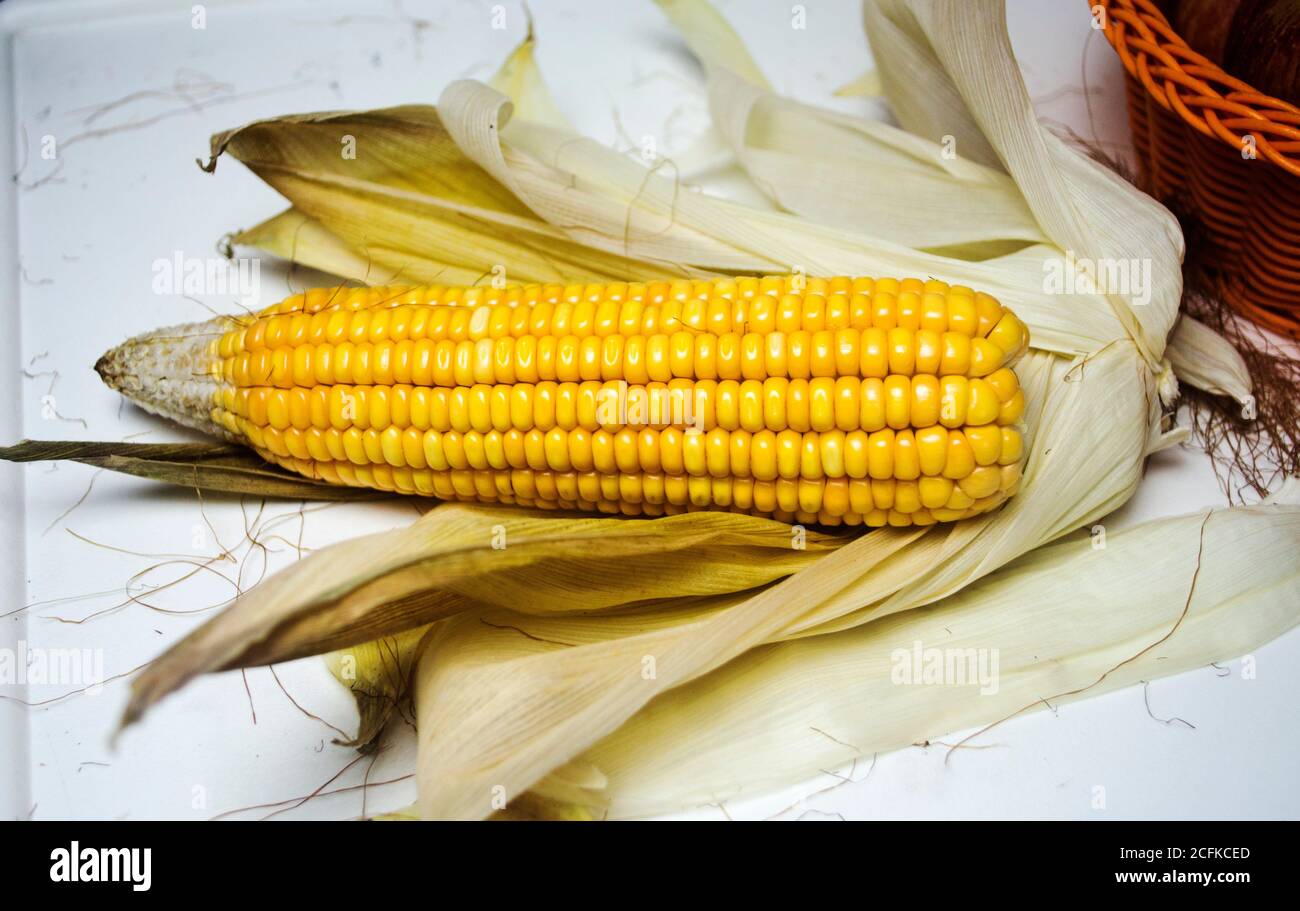Raw sweet corn on blurred background with dried leaves Stock Photo - Alamy