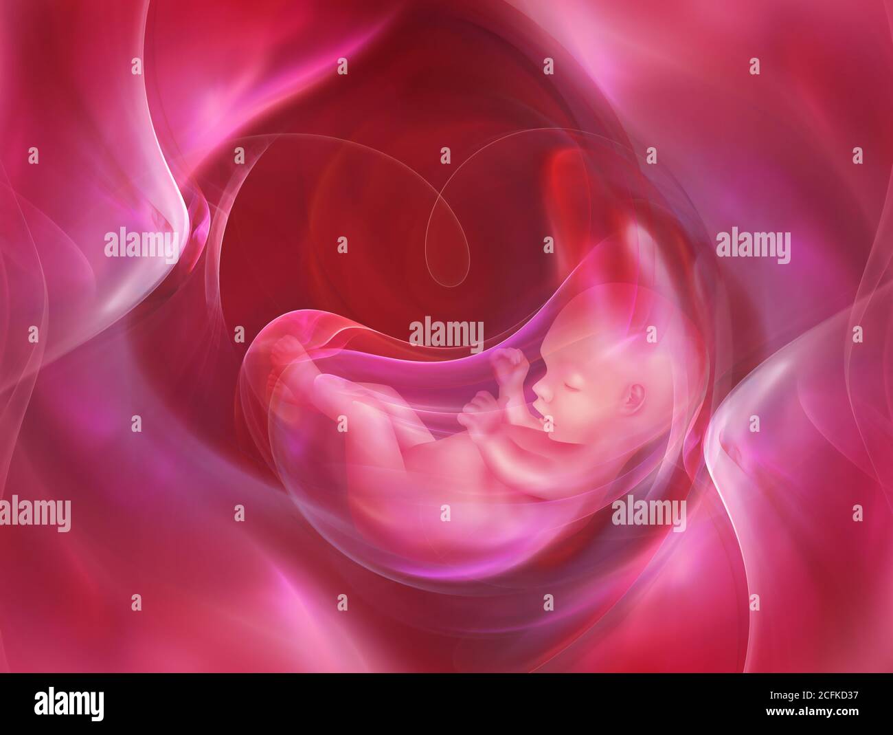 Human placenta with cord hi-res stock photography and images - Alamy