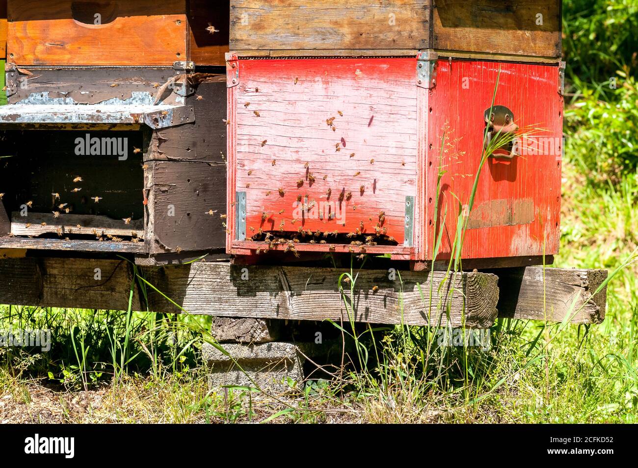 Beehive boxes hi-res stock photography and images - Alamy