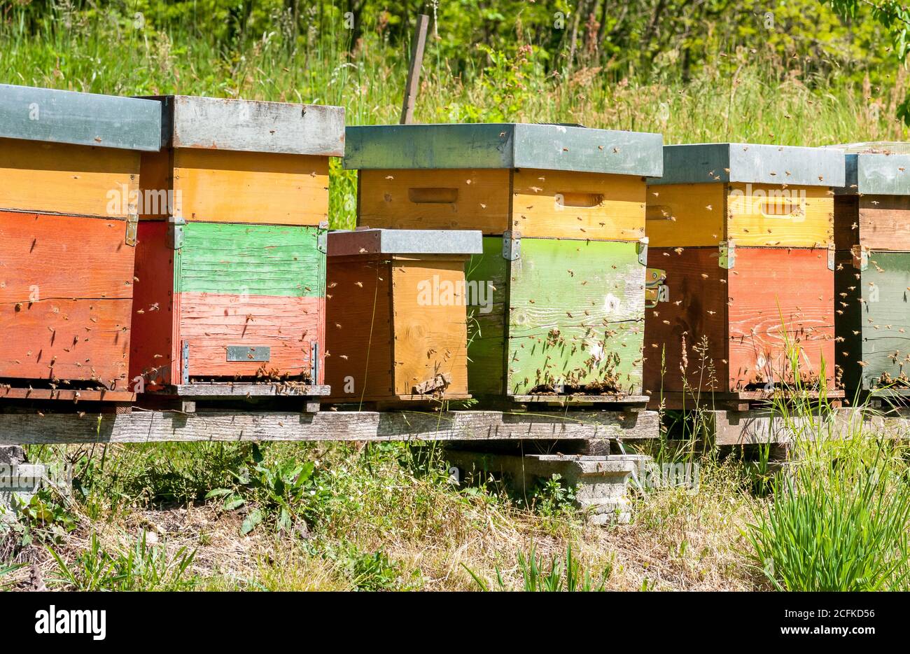Beehive boxes hi-res stock photography and images - Alamy