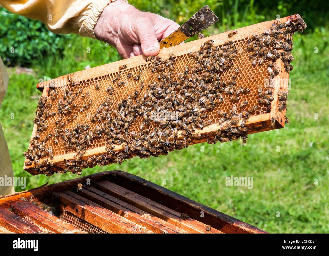 Human beehive hi-res stock photography and images - Alamy