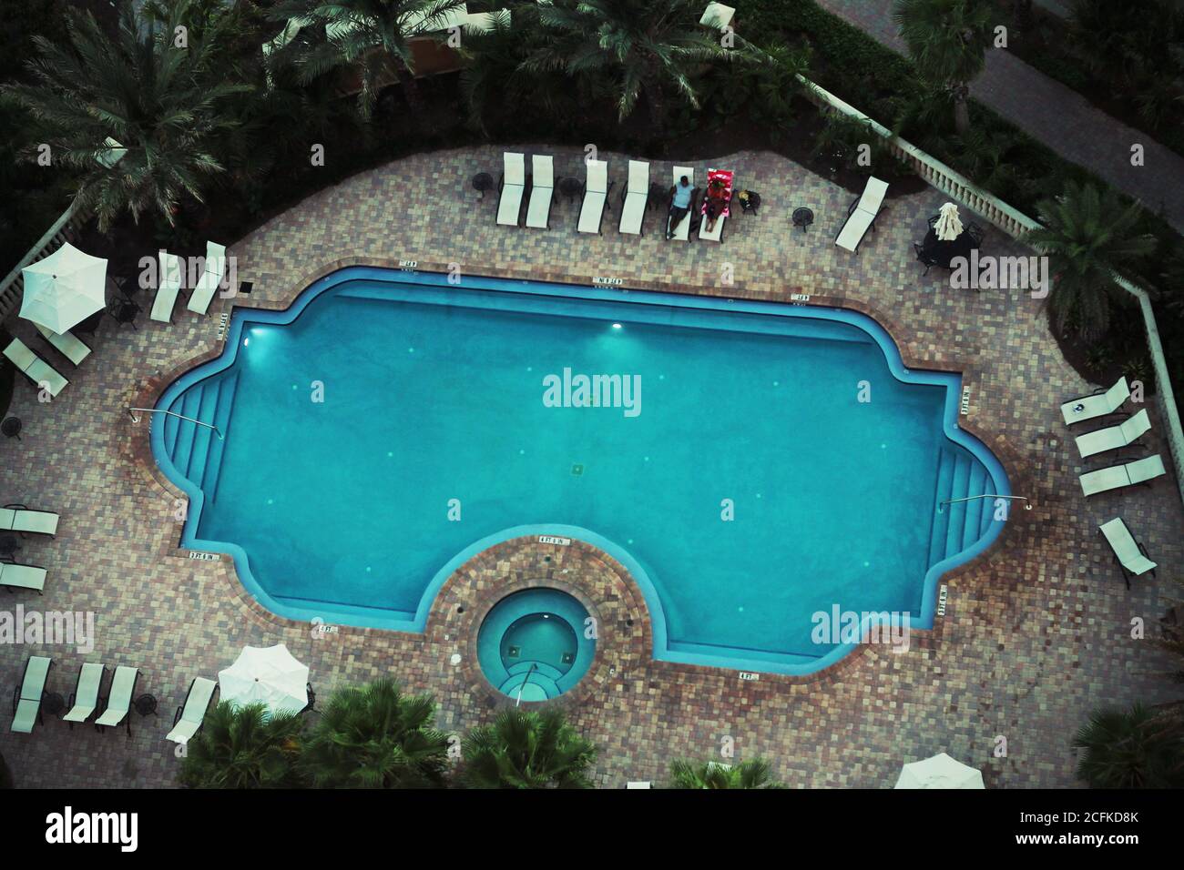 An over head view of a swimming pool in Florida Stock Photo - Alamy