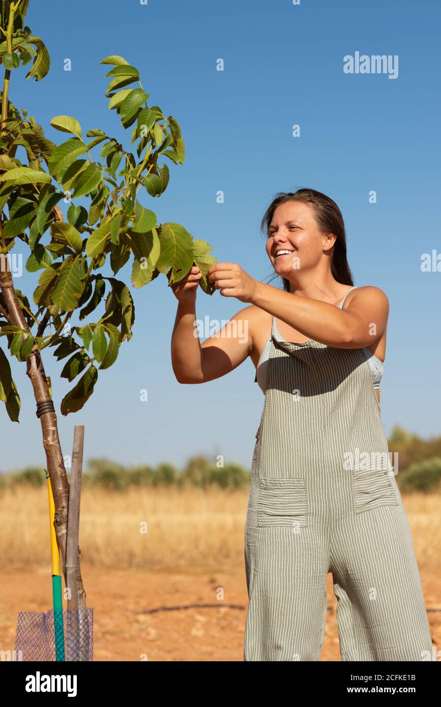 Collecting fruit hi-res stock photography and images - Alamy