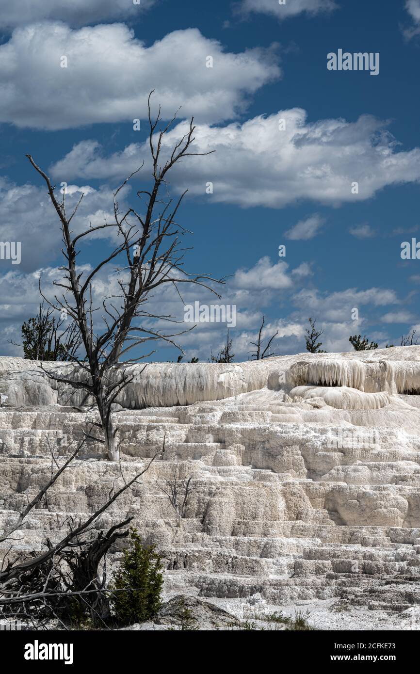 Mammoth upper terrace hi-res stock photography and images - Alamy