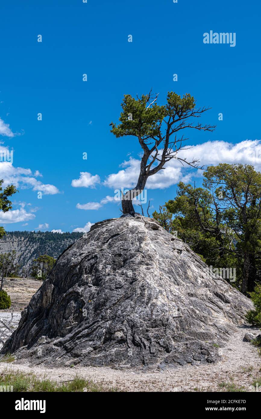 Mammoth upper terrace hi-res stock photography and images - Alamy