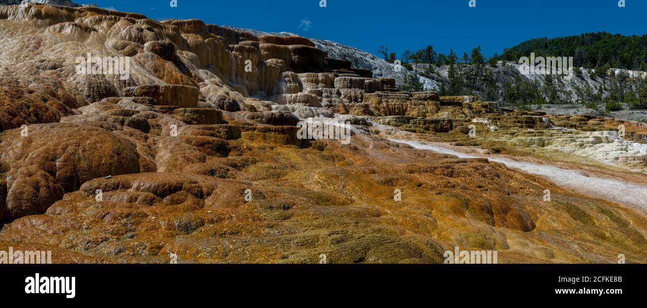 Mound and Jupiter Terraces in the Mammoth Hot Springs Area, Yellowstone ...