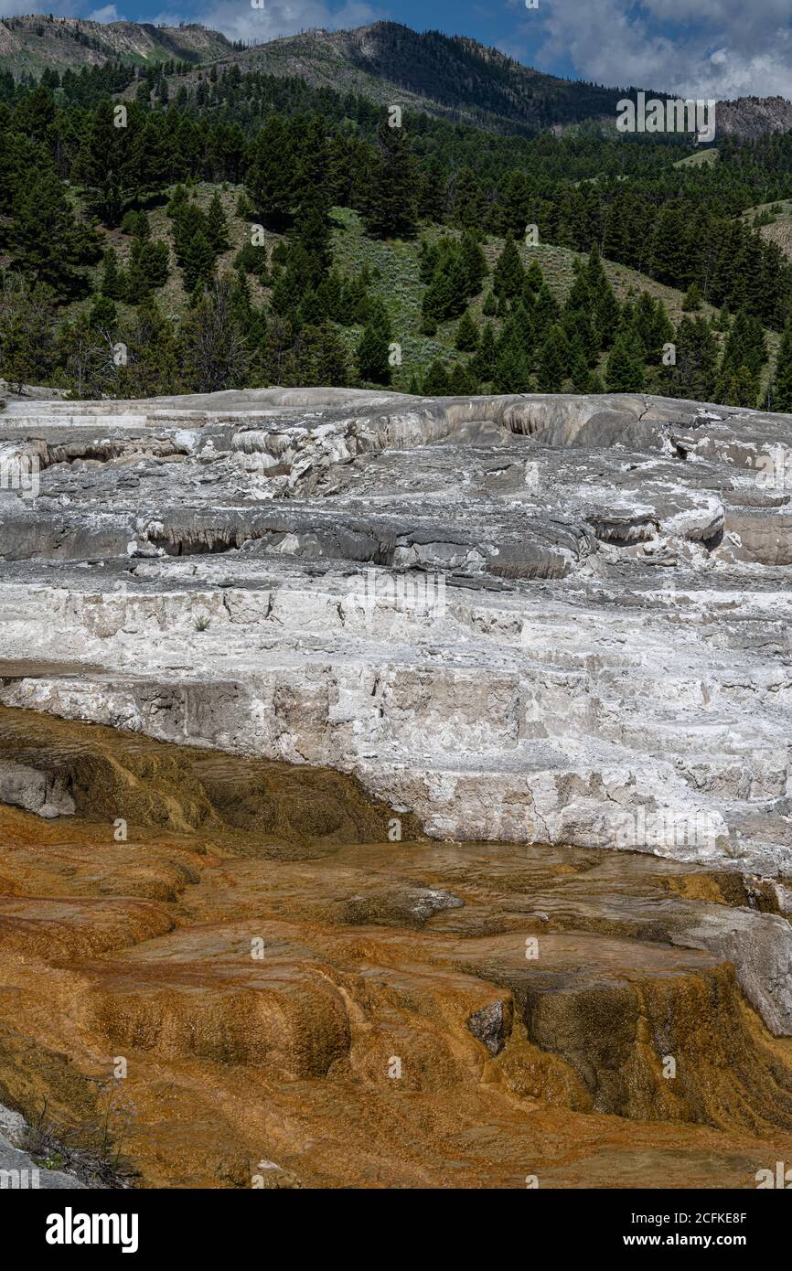 Mound and Jupiter Terraces in the Mammoth Hot Springs Area, Yellowstone ...