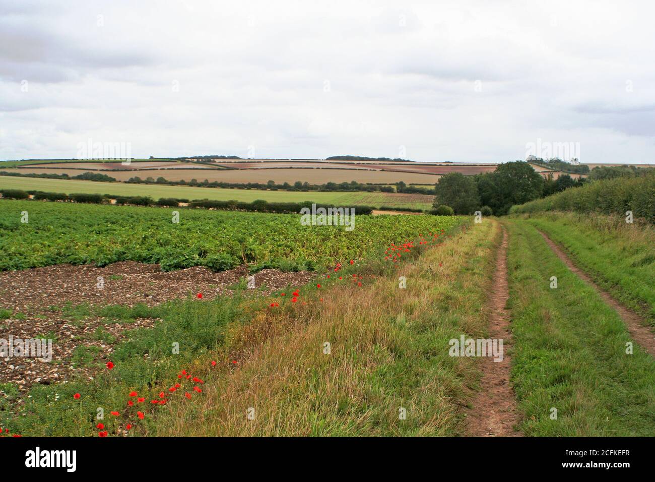 Goodmanham hi-res stock photography and images - Alamy