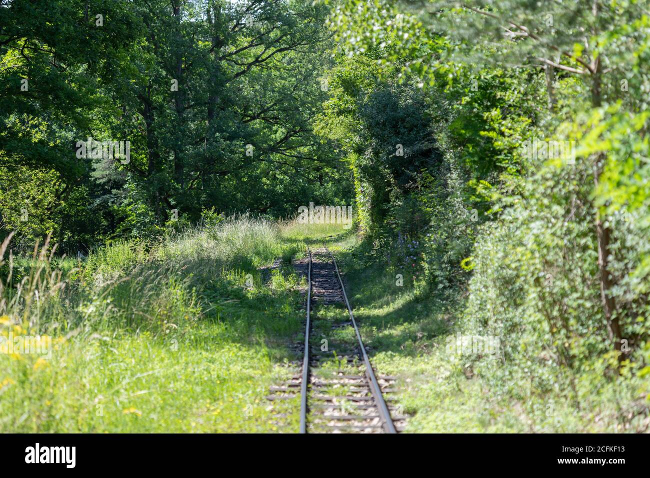 Narrow gauge railroad image hi-res stock photography and images - Alamy