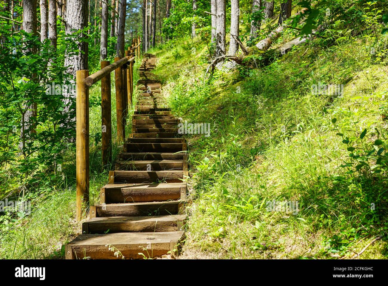 a walking path made of wooden steps in a forest in a hilly area Stock ...