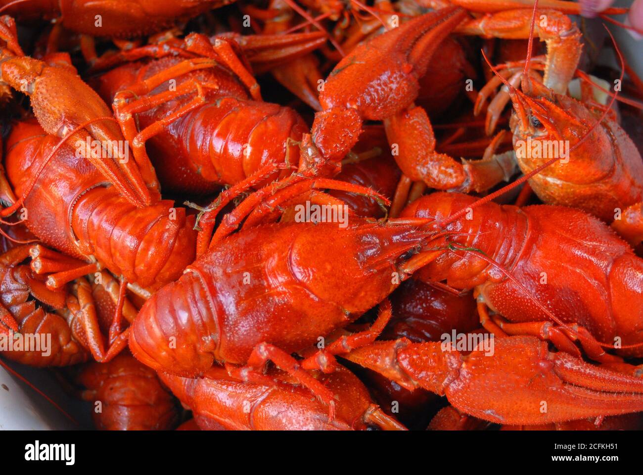 bright red boiled crayfish Stock Photo - Alamy