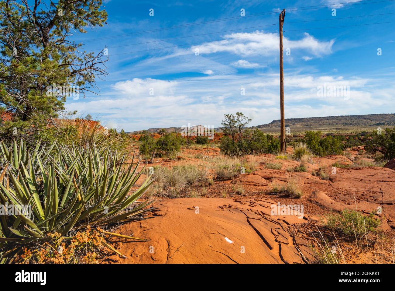 Red soils af Arizona desert land and vegetation under deep blue sky ...