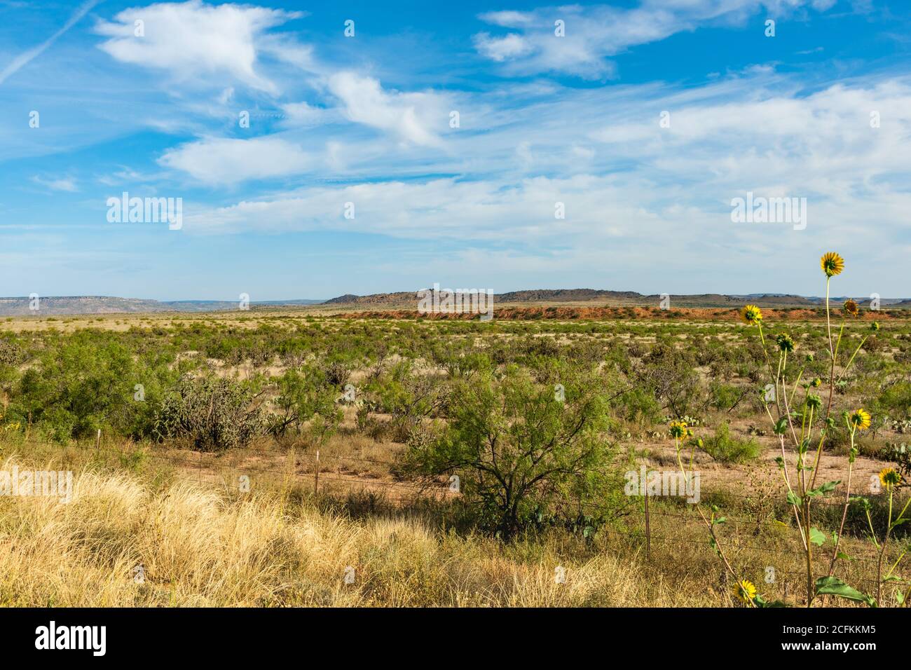 Red soils af Arizona desert land and vegetation under deep blue sky ...