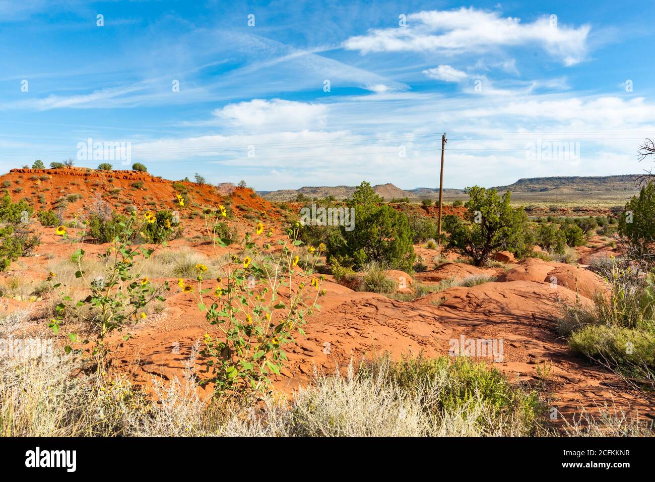 Red soils af Arizona desert land and vegetation under deep blue sky ...