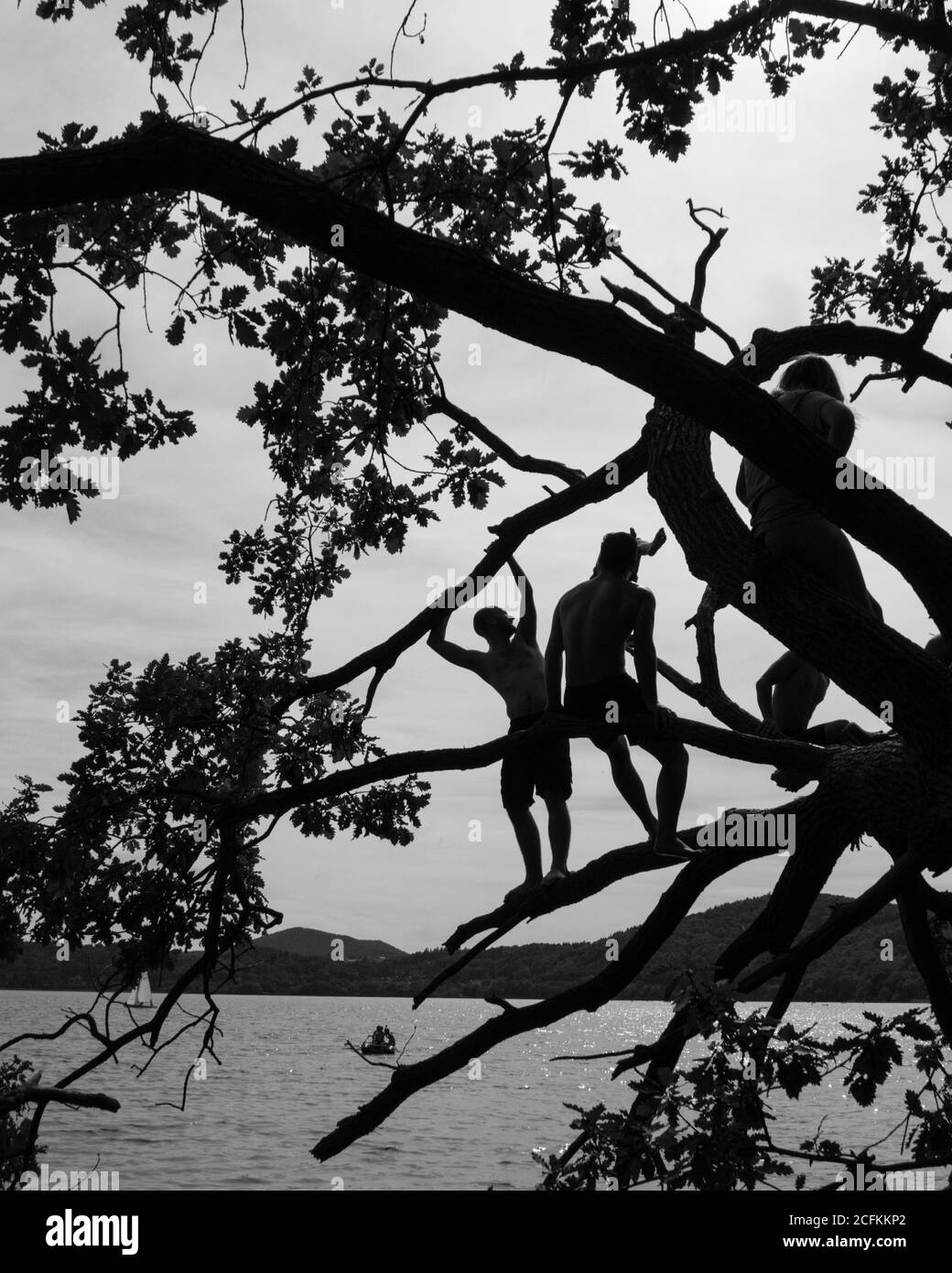 Jumping Off Tree Branch High Resolution Stock Photography and Images ...