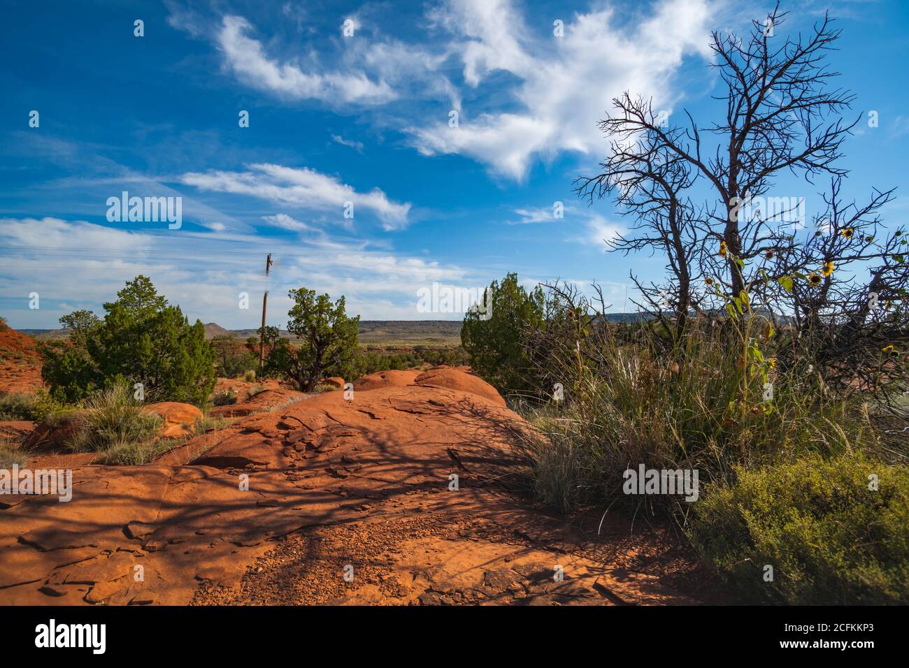 Red soils af Arizona desert land and vegetation under deep blue sky ...