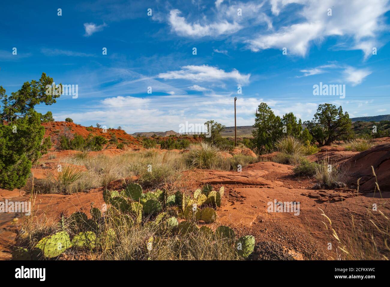 Red soils af Arizona desert land and vegetation under deep blue sky ...