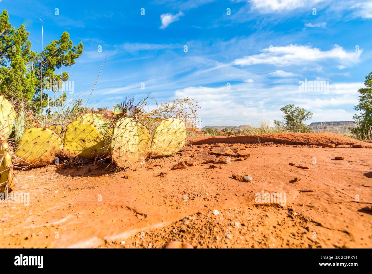 Red soils af Arizona desert land and vegetation under deep blue sky ...