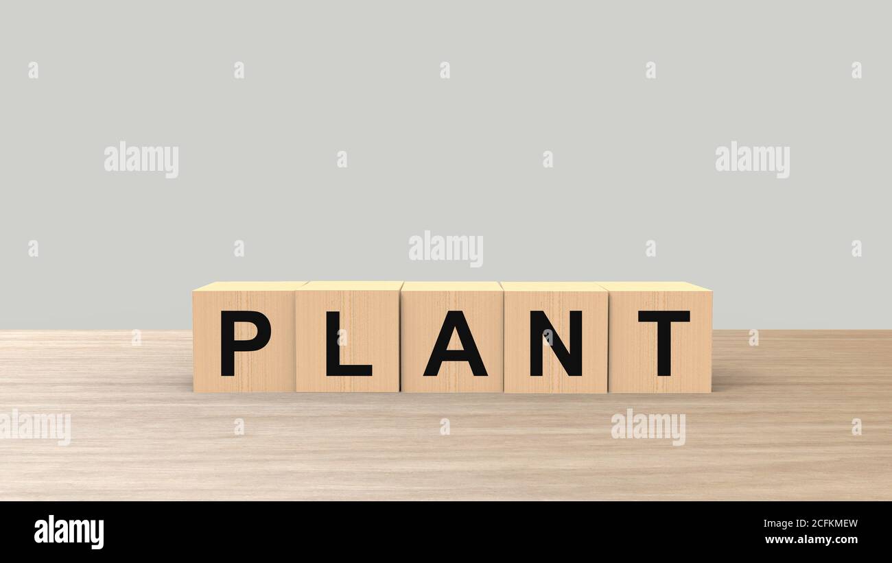 Plant - word wooden cubes on table horizontal over gray background HD ...