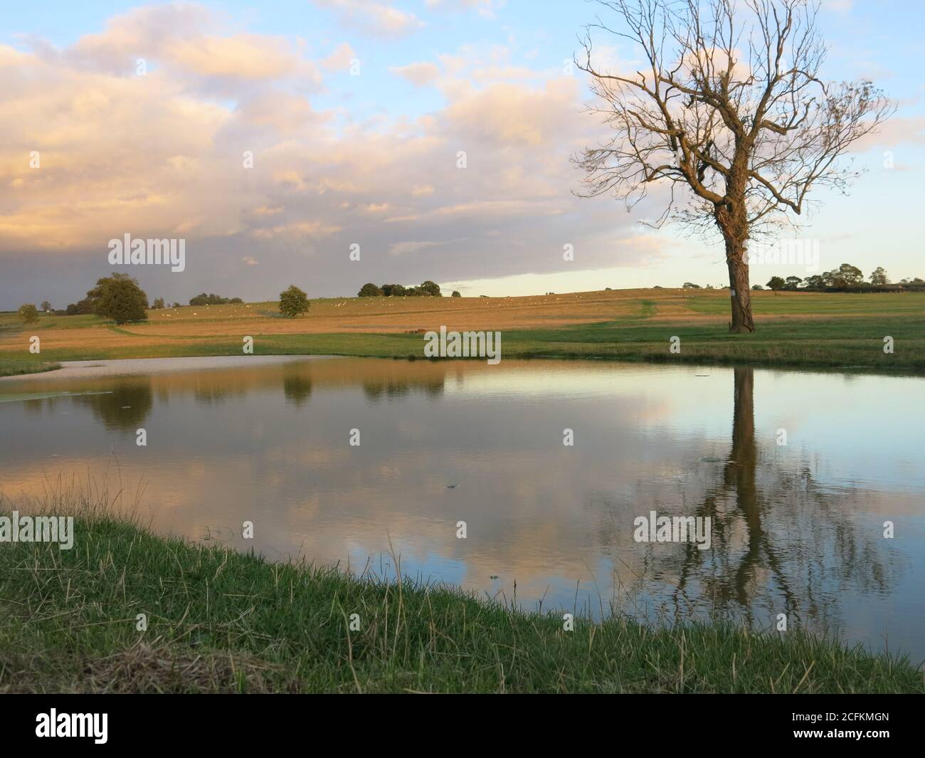 Winwick Hall High Resolution Stock Photography and Images - Alamy