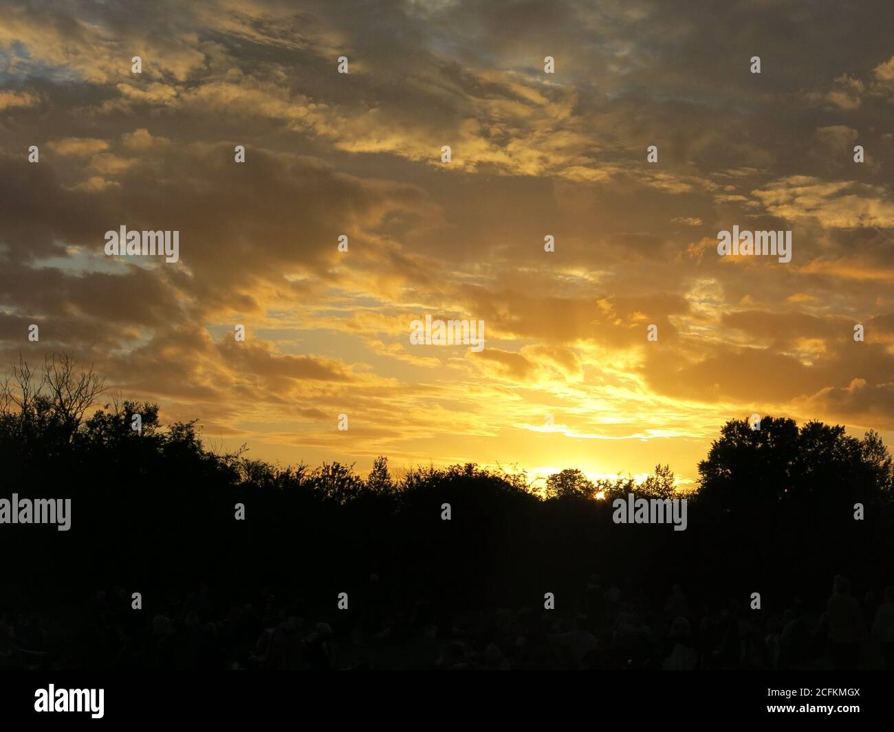 Tree line silhouetted against a glowing sky at sunset in ...