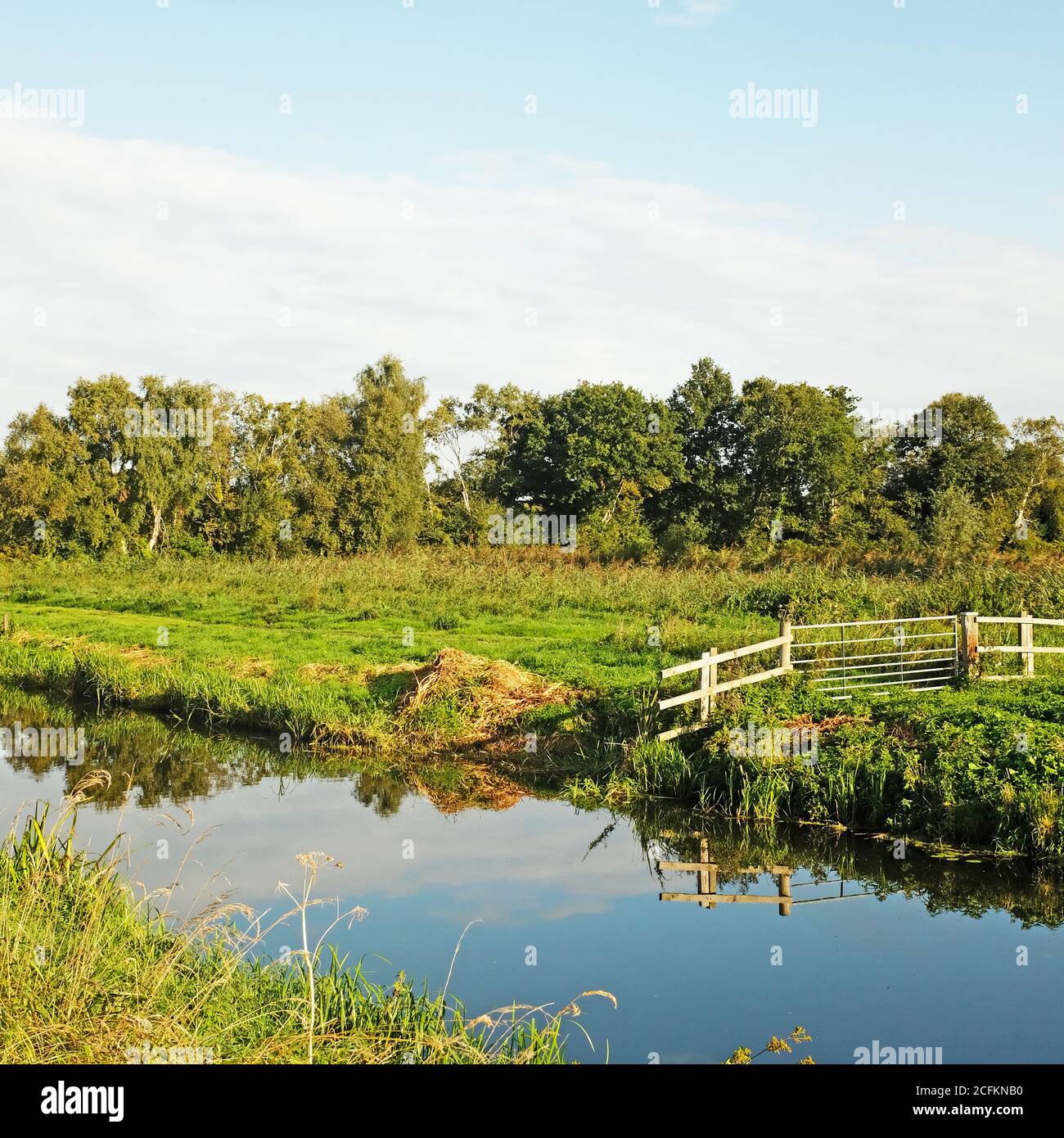 September 22020 - Early morning landscapes on the Somerset Moors Stock ...