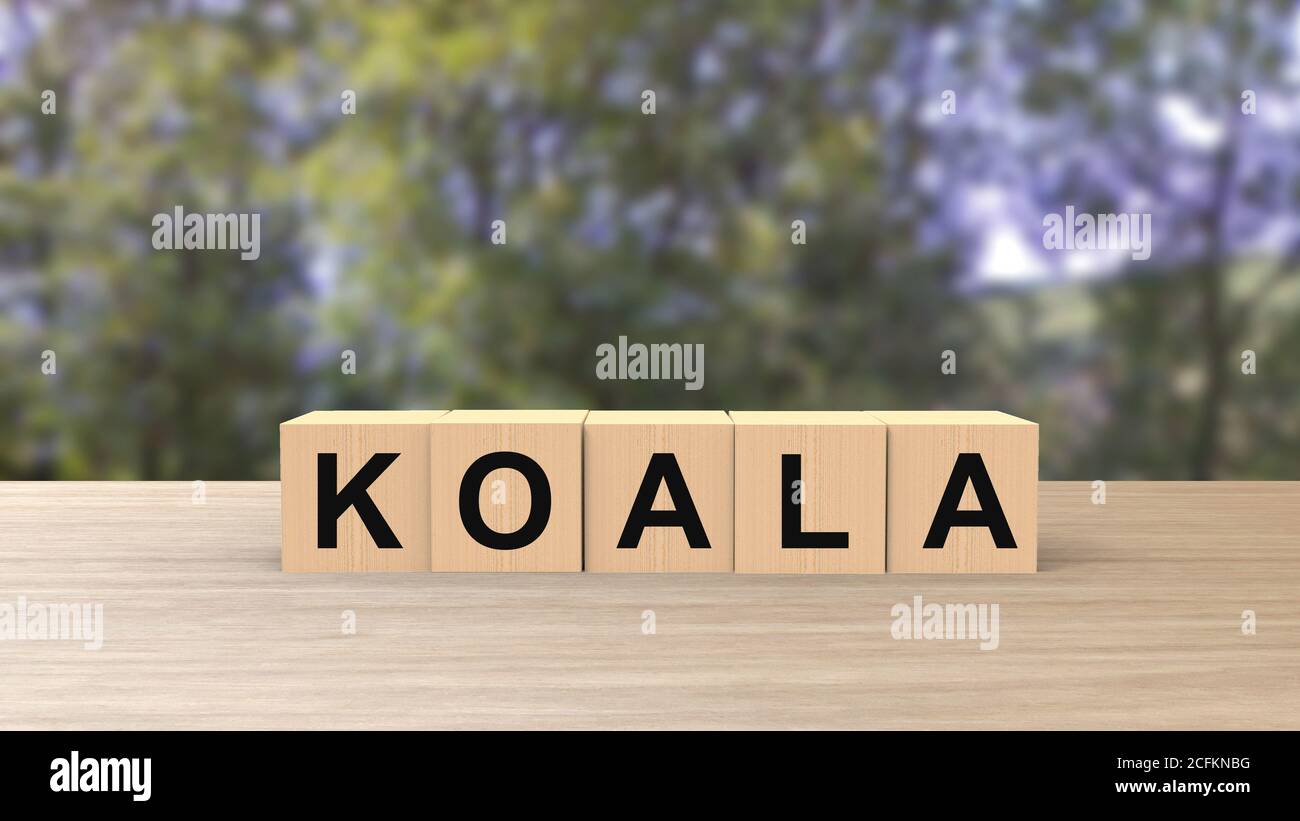 Koala - word wooden cubes on table horizontal over forest trees ...