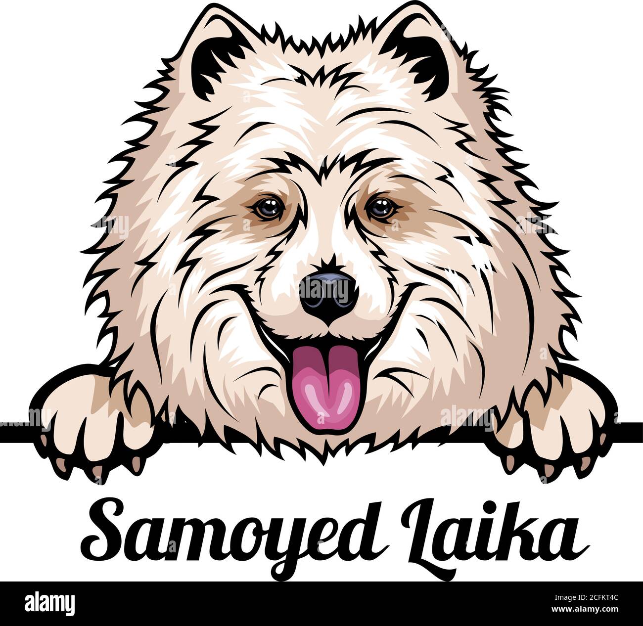 Samoyed dog draw hi-res stock photography and images - Alamy