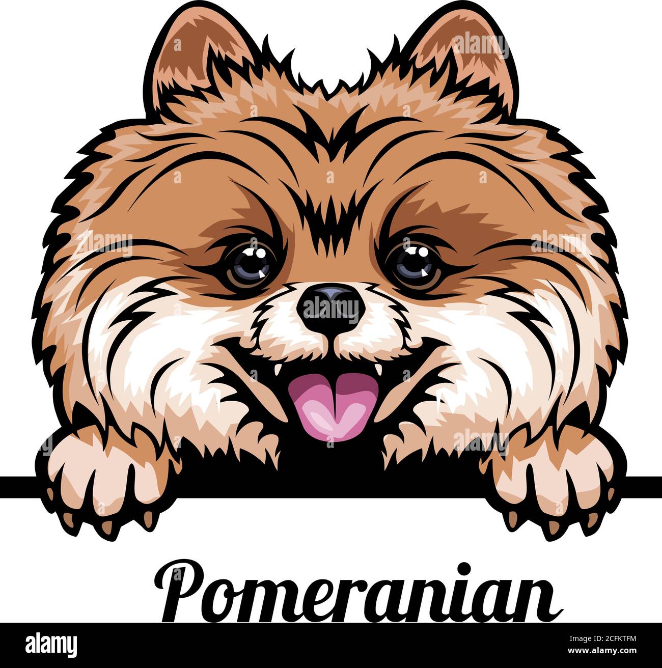Isolated pomeranian Stock Vector Images - Alamy