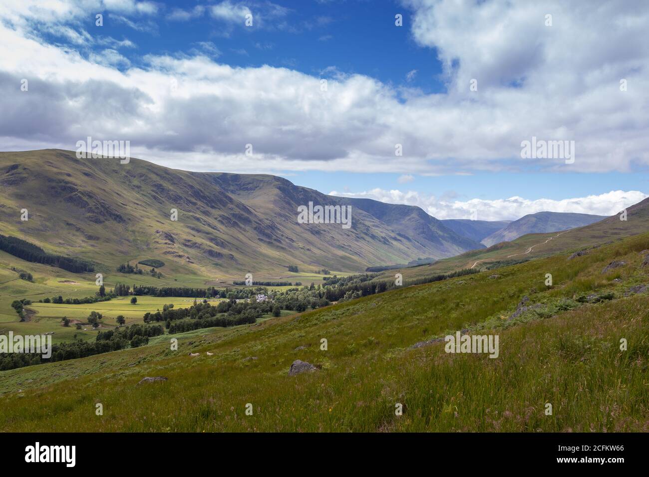 Angus glen scotland hi-res stock photography and images - Alamy