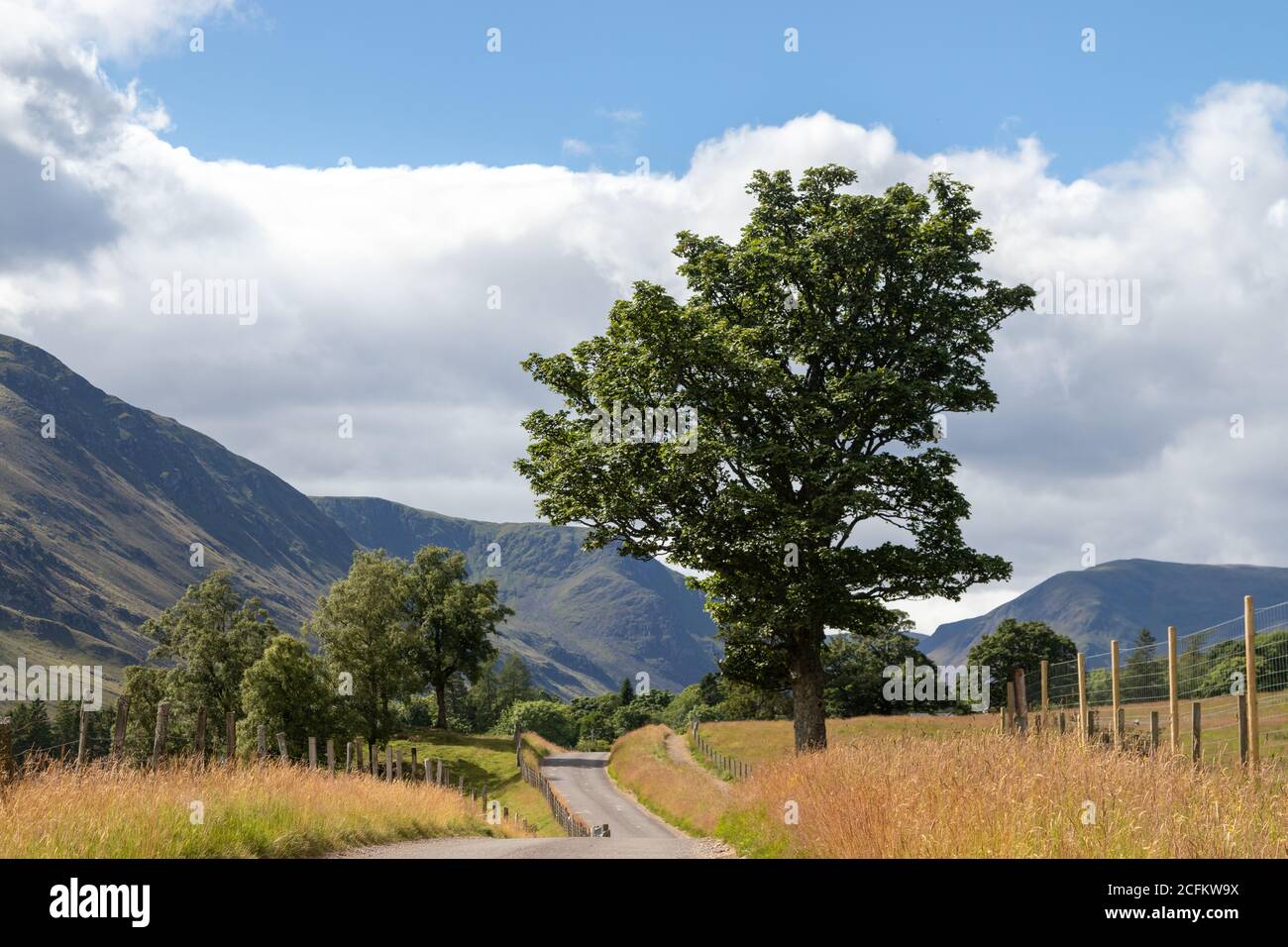 Glen Clova in Angus Scotland Stock Photo - Alamy