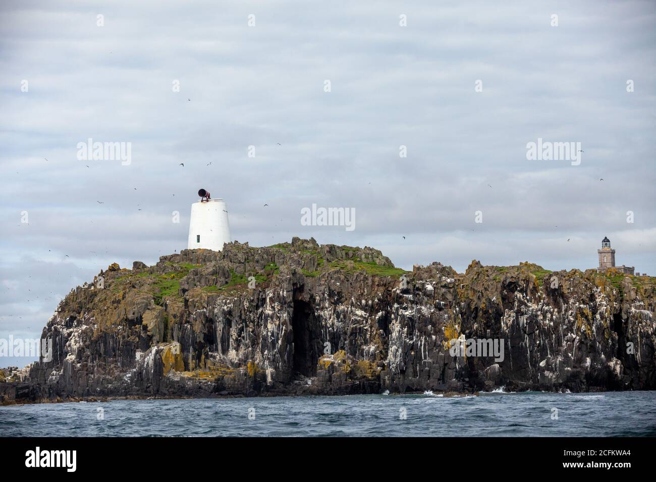 South Horn at Isle of May National Nature Reserve, Firth of Forth ...